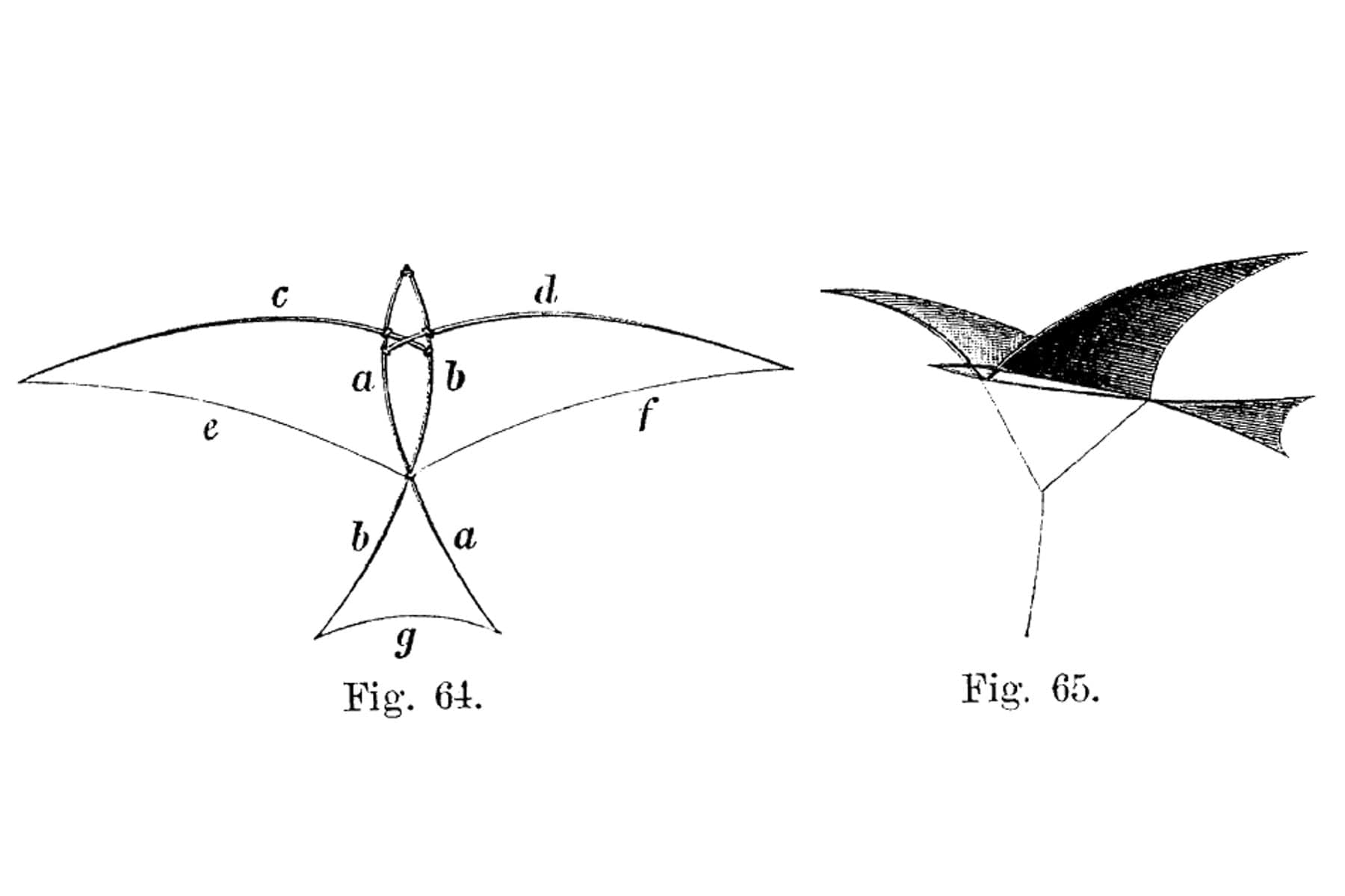 Otto Lilienthal Museum – Technikgeschichte in Pommern